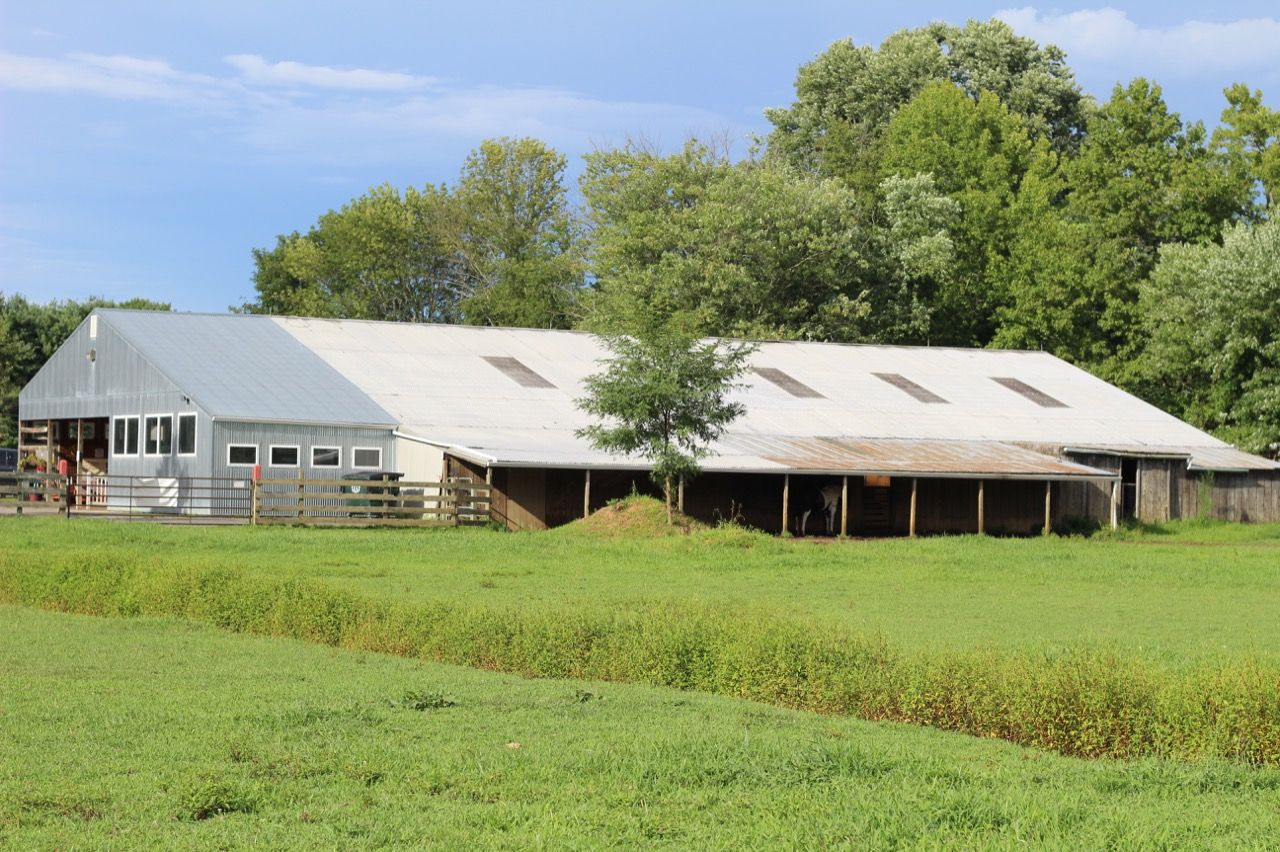 Riding High Farm - Home