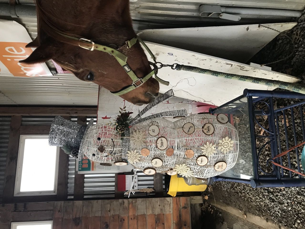 Riding High Farm - Home