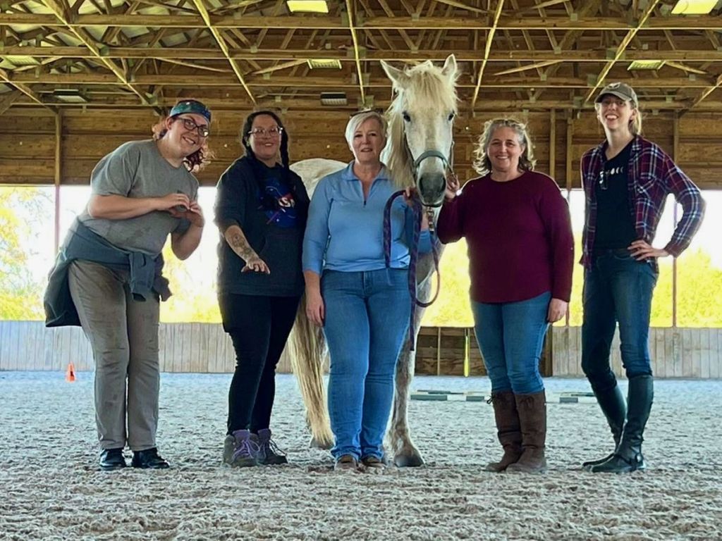 Riding High Farm - Home